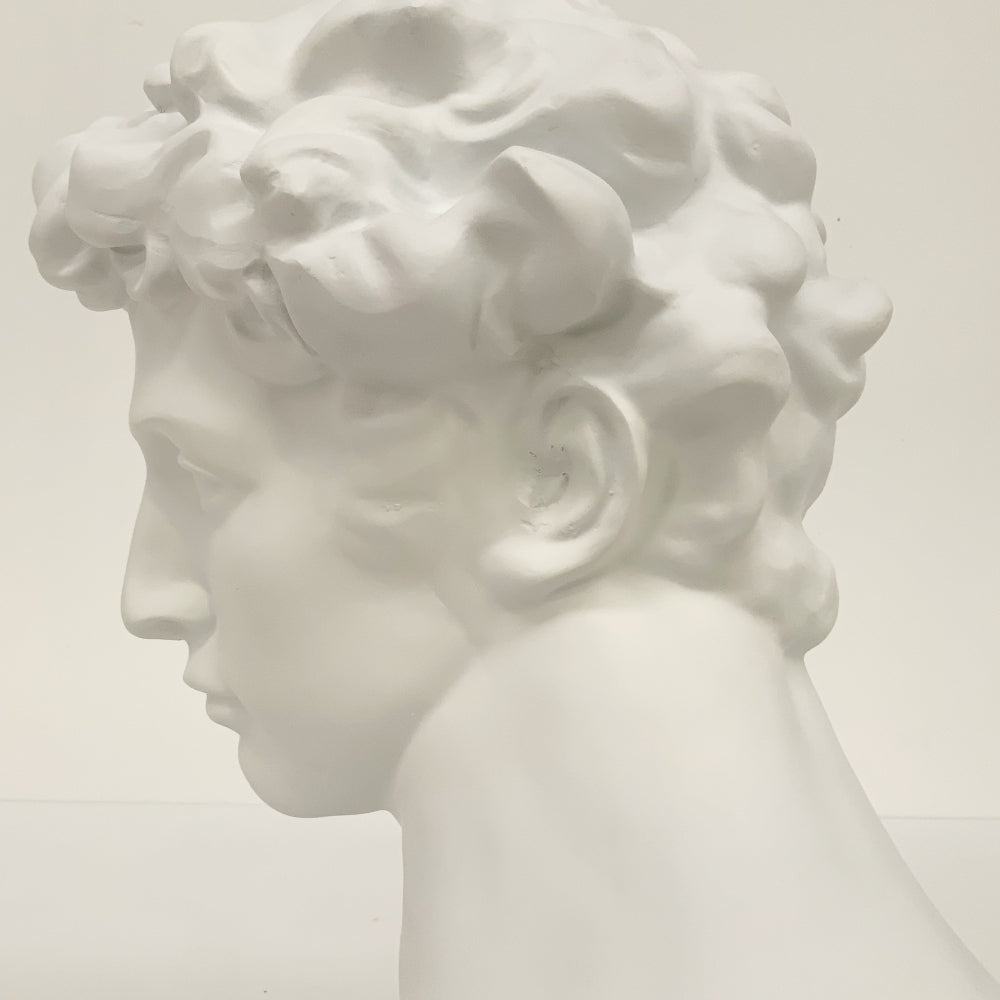 60cm Neo Classical Style Male Bust Statue | White – decorista.au
